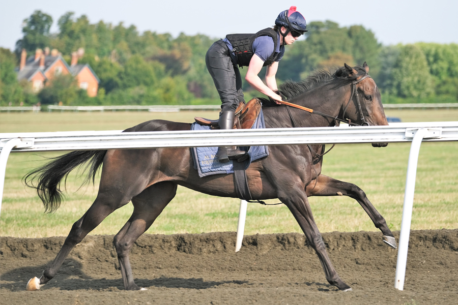 David Simcock has enjoyed top-class success, training in Newmarket