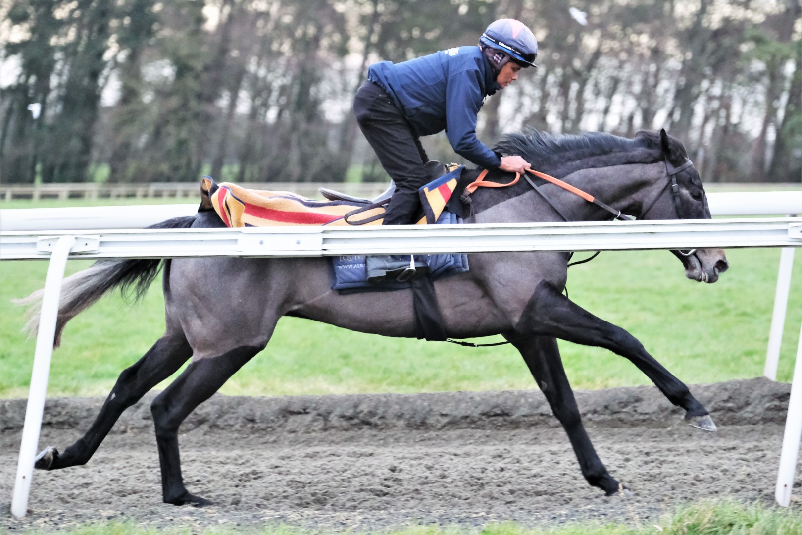David Simcock has enjoyed top-class success, training in Newmarket