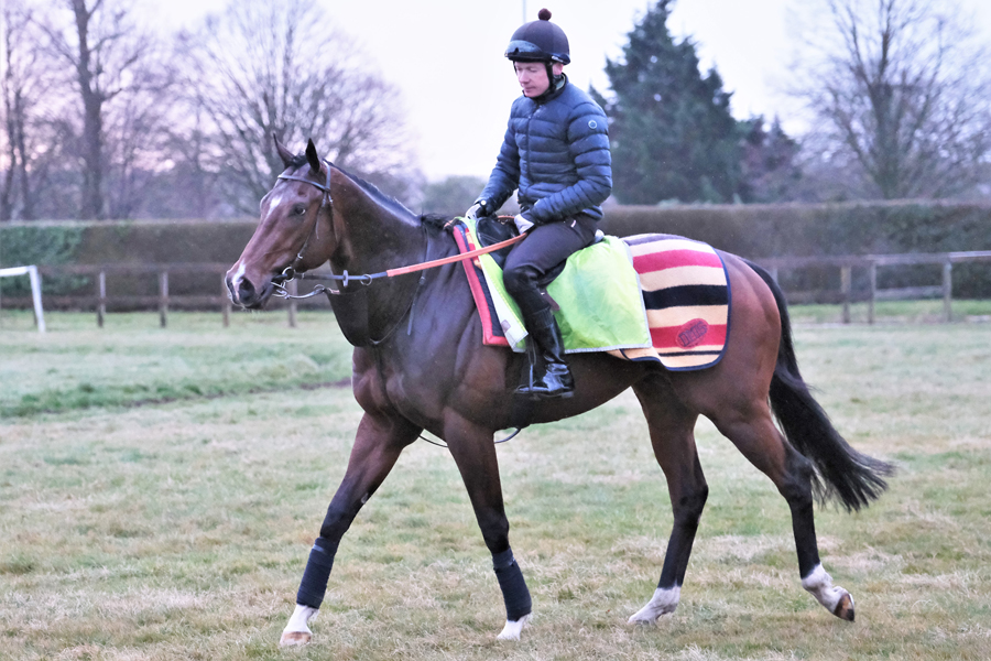 David Simcock has enjoyed top-class success, training in Newmarket