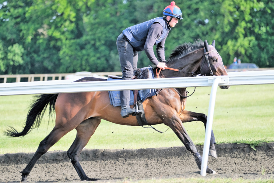 David Simcock has enjoyed top-class success, training in Newmarket