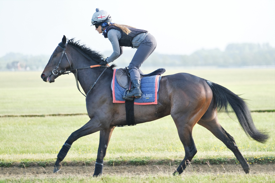 David Simcock has enjoyed top-class success, training in Newmarket