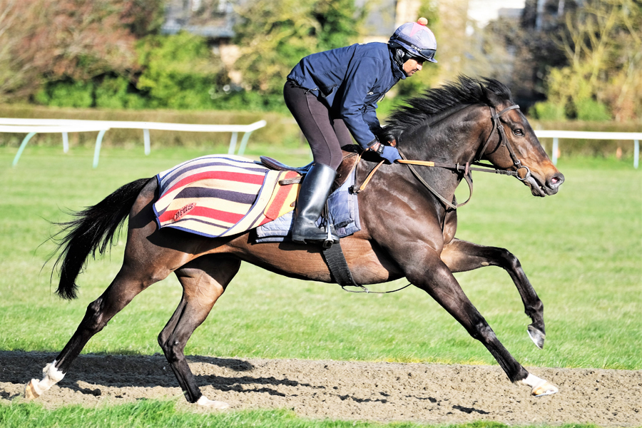 David Simcock has enjoyed top-class success, training in Newmarket