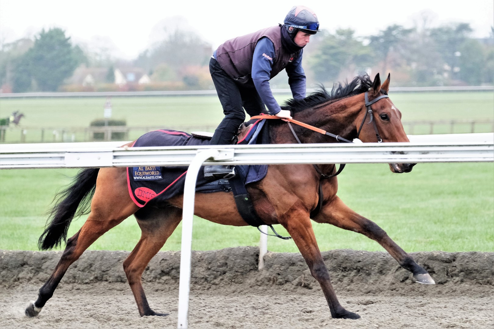David Simcock has enjoyed top-class success, training in Newmarket