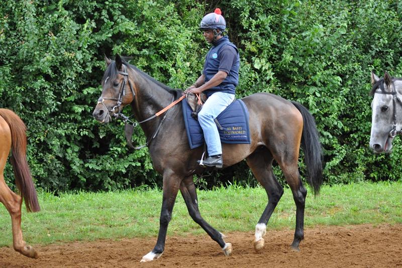 David Simcock has enjoyed top-class success, training in Newmarket